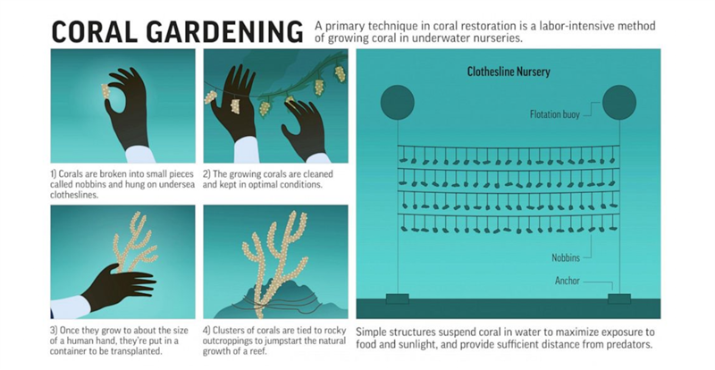 Ministry of Education, Youth Development, Sports and Digital Transformation